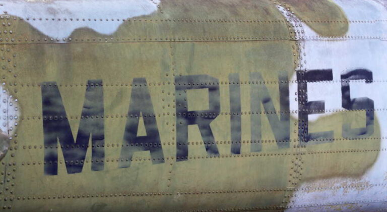 Marines Encounter 8-Foot Creature at Quantico | Republican Wire