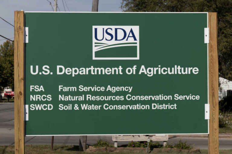 Livestock Alarm: Eradicated Pest Returns | Republican Wire